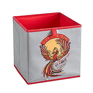 Harry Potter Collapsible Storage Cubby Unit and Bookshelf with 3 Collapsible Cubes