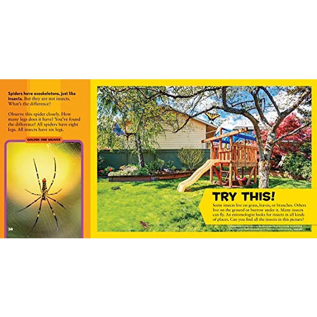 National Geographic Little Kids First Big Book of Science (Little Kids First Big Books)