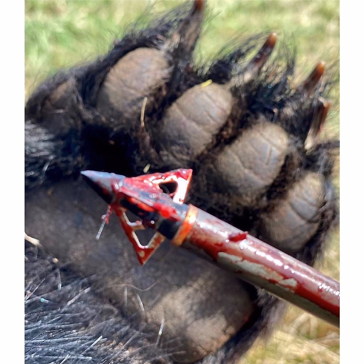 New Archery Products archery Thunderhead Nitro 100 Grain Big Game Hunting Fixed Blade 3 Pieces Set Crossbow Arrow Broadheads, black and copper, Gra US