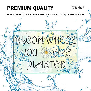 Bloom Where You are Planted 8X12 Inch Tin Retro Look Decoration Crafts Sign for Home Kitchen Bathroom Farm Garden Garage Inspirational Quotes Wall Decor