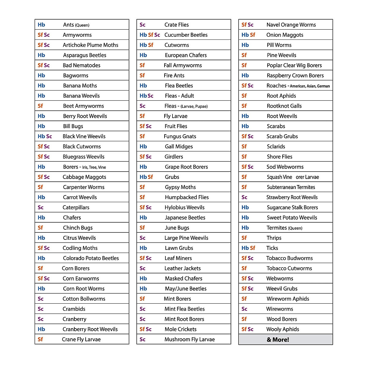 Beneficial Nematodes Heterohabditis bacteriophora HB -10 Million