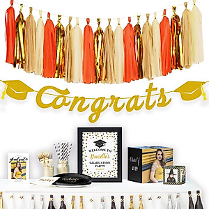 Aonor Tassel Garland, Tissue Paper Tassels Banner for Graduation Party Decorations, Thanksgiving, First Birthday Party Decorations, 20 pcs DIY Kits (Orange+Metallic Gold+Tan+Ivory)