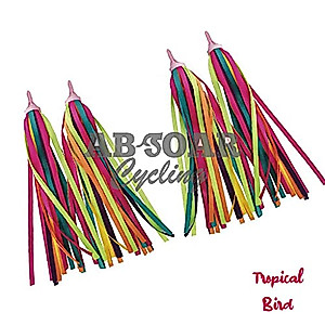 ABSOAR Cycling Colorful Bike Streamers Girls Boys Kids Bicycle Tassel Ribbon Handlebar Scooter Streamers 2 Pairs, Tropical Bird