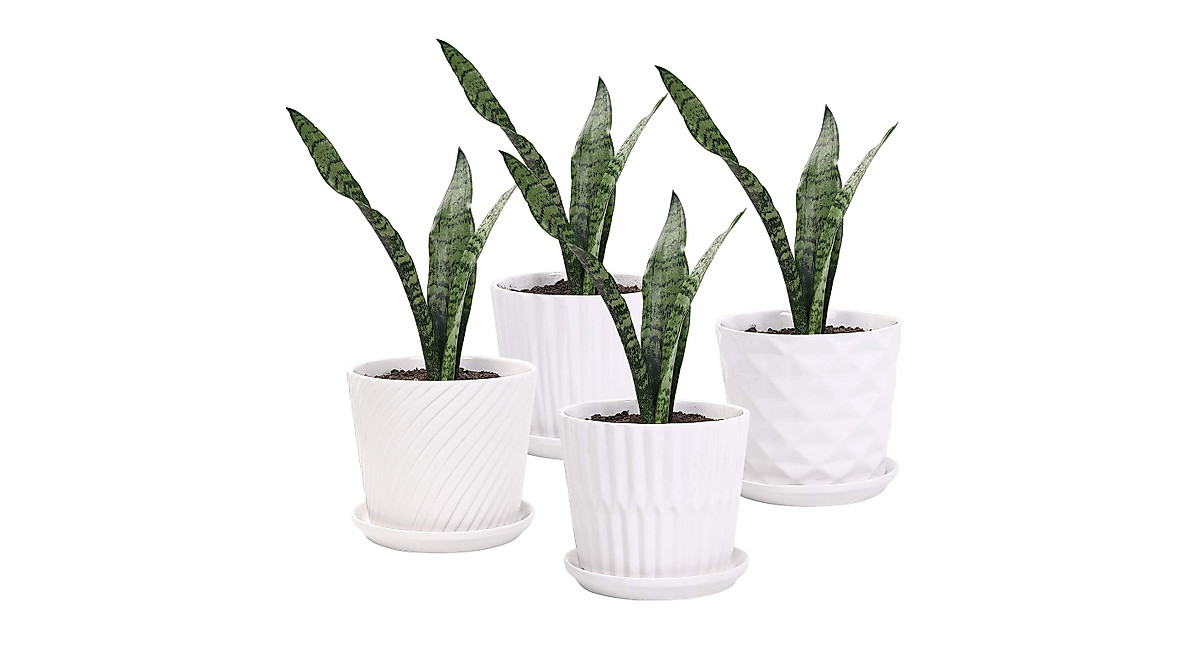 Sietpoek Ceramic Plant Pots - Set of 4 for Succulents