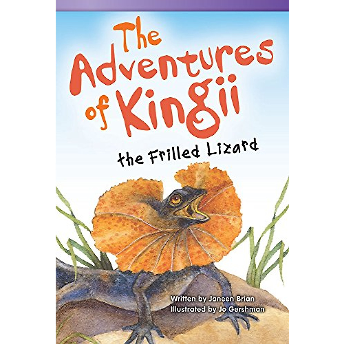 Teacher Created Materials - Literary Text Collection - 30 Book Set - Grade 3 - Guided Reading Level M - Q