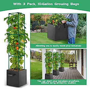 FITTDYHE 3 Pack Tomato Cages for Garden 48 Inches with 3Pcs Tomato Planter(10-Gallon), Upgraded Fiberglass Tomato Trellis Garden Plant Cage, Tomato Plant Support with Grow Bags, Clip,Twist Ties