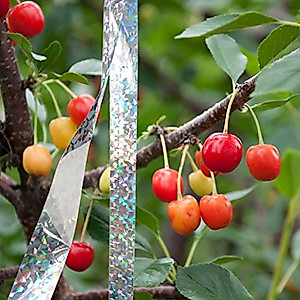 EACILLES Holographic Reflective Bird Scare Ribbon, 2in by 330ft