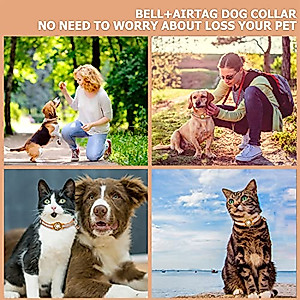 Airtag Dog Collar, Toirneach Adjustable Reflective Dog Collars with AirTag Holder Waterproof Integrated Silicone AirTag Cat Collar Holderwith Bell and Breakaway Buckle Width 0.6 inches