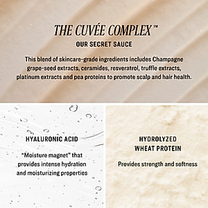 Cuvee Conditioner - 10 fl oz - Softens, Strengthens, Hydrates & Protects Hair - Includes Hyaluronic Acid - Champagne-Infused Formula with Resveratrol & Ceramides - Color Safe