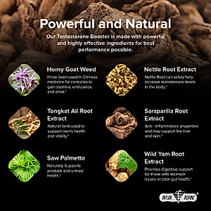 Influx Inspire Testosterone Booster for Men - Test Booster for Stamina, Endurance & Strength - 60 Capsules