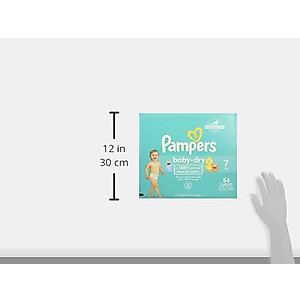 PAMP BDry S7 Super 1/54