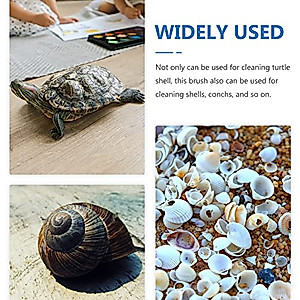 Ipetboom Mini Brush Denture Cleaning Brush Double Sided Denture Toothbrush Deep Clean Brush Small Cleaning Brush Detail Cleaning Scrub Brush False Teeth Cleaning Tool Blue Cleaning Brushes