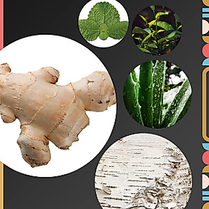 My Black is Beautiful Calming Scalp & Hair Lotion Treatment for Dry Scalp and Damaged Hair, Blue Ginger and Mint, 7.6 fl oz