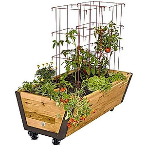 GBL 2" Heavy Duty Caster Wheels with 2 Brakes + Screws - up to 440Lbs - Set of 4 No Floor Marks Silent Castor for Furniture - Rubbered Trolley Wheels - Black Casters