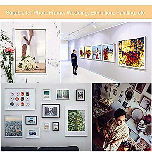 FIOTOK 100Pack Small Triangle D-Ring Picture Frame Hangers Single Hole with Screws for Hanging Paintings Artwork Picture Frame Hook Photos, Wall Mounting Home Decoration Hanging(Golden)