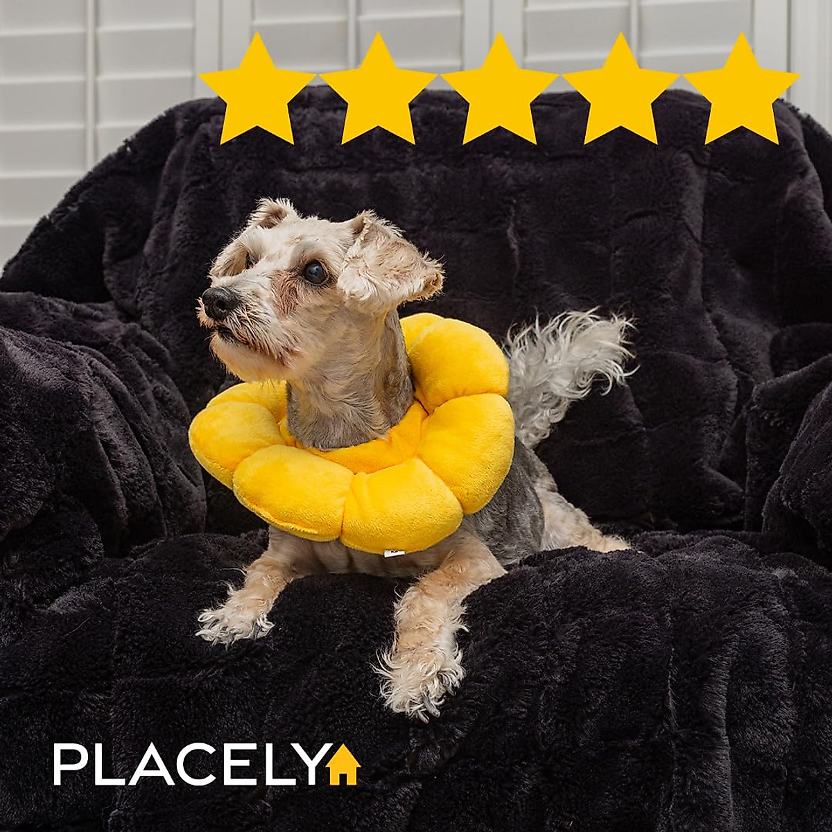 Dog Cones - Adjustable Dog Recovery Cone for Small Dogs - Dog-Friendly Design Dog Cone Collar - Reliable Head and Neck Cone for Dogs - Pet Cone - Dog Cone by Placely