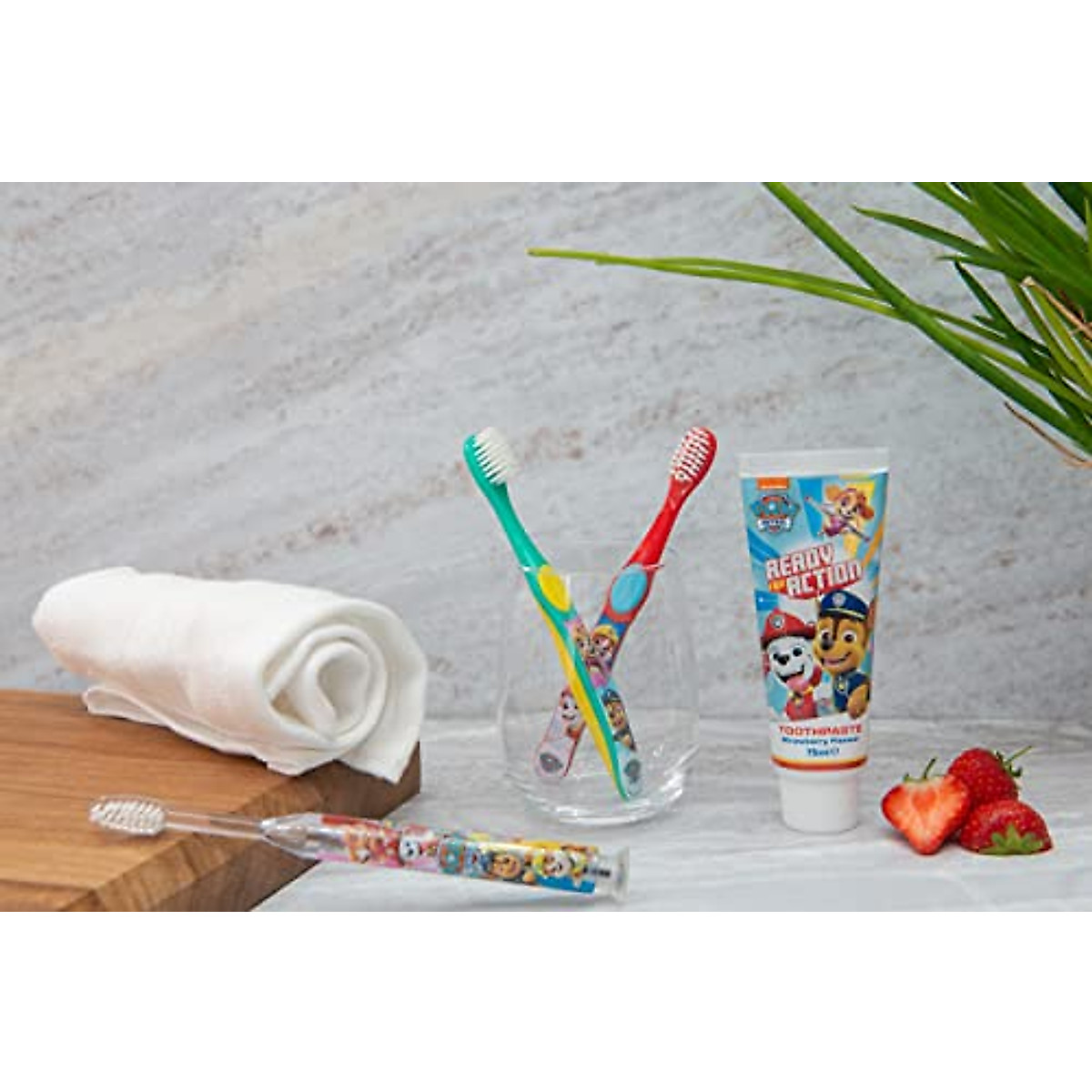 Paw Patrol Flashing Toothbrush