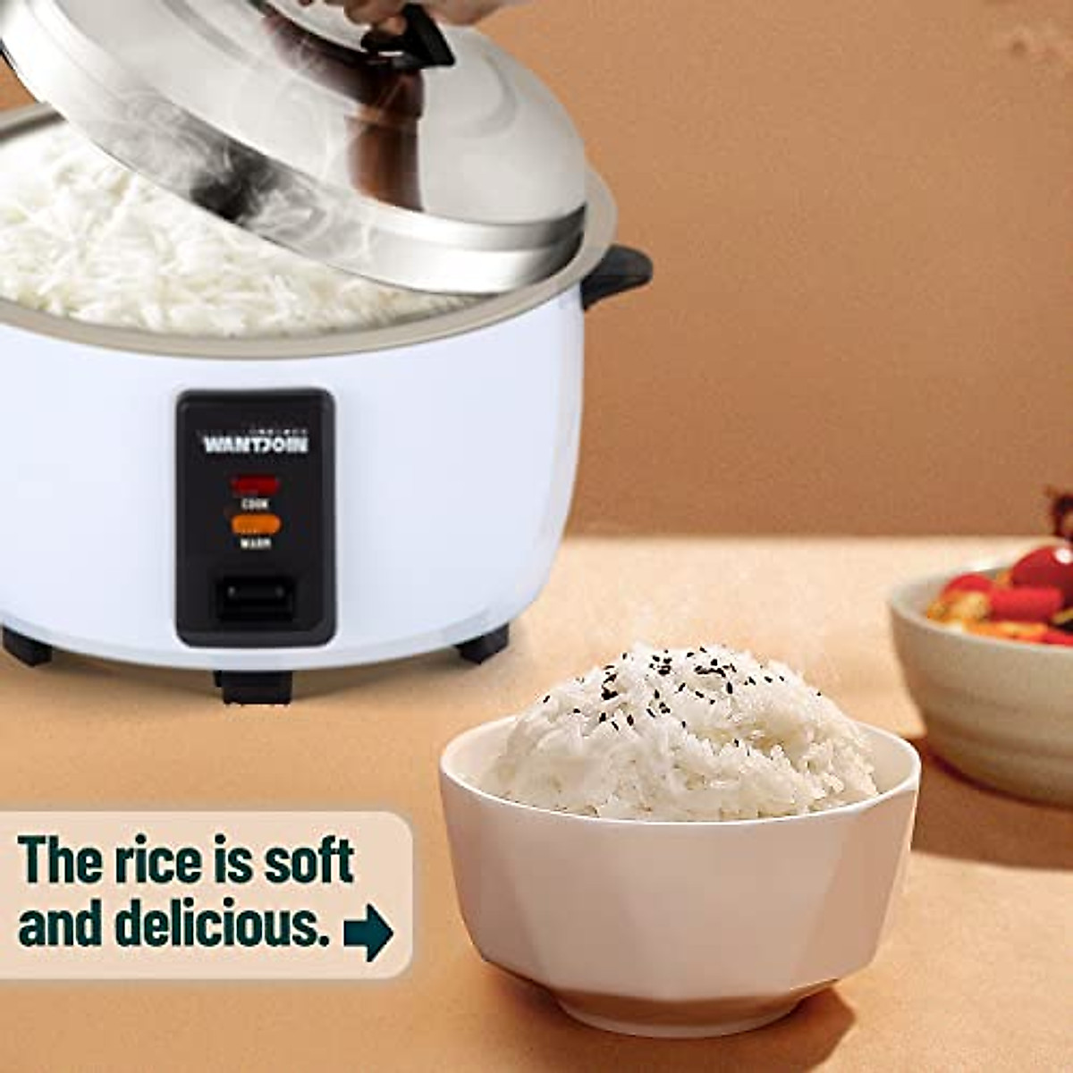 Wantjoin Rice cooker Stainless Rice Cooker & Warmer Commercial Rice cooker for party and family(10L capacity for 4.2L rice,42CUPS)
