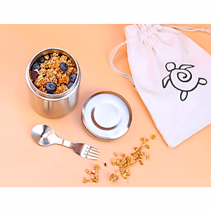 ecozoi Stainless Steel Insulated Lunch Box, Food Jar - Vacuum Insulated Thermos, 17 Oz + Spork + Lunch Bag