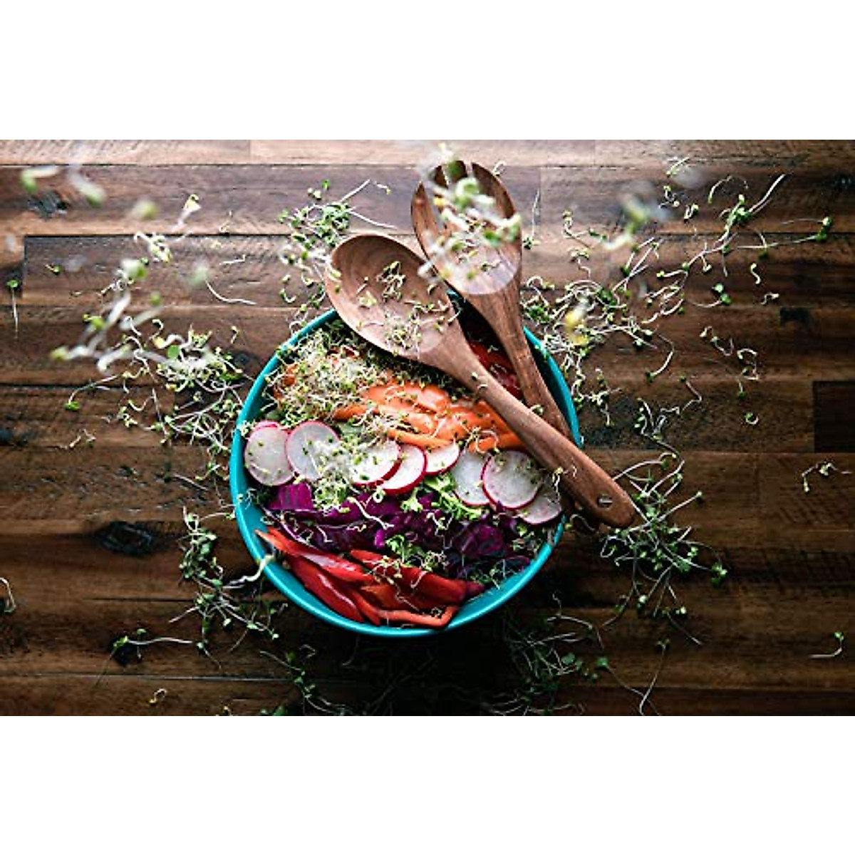 Rainbow Radish Sprouting Seeds Mix | Heirloom Non-GMO Seeds for Sprouting & Microgreens | Contains Red Arrow, Purple Triton & White Daikon Radish Seeds 1 lb Resealable Bag | Rainbow Heirloom Seed Co.