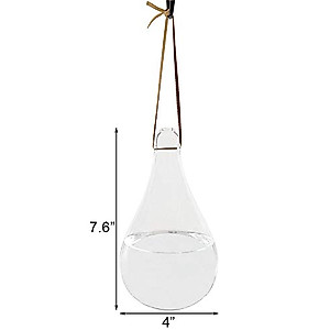 Esschert Design Glass Fly Deterrent