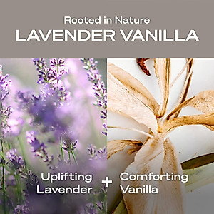 Hey Humans Deodorant, Aluminum Free Deodorant for Women and Men, Contains Naturally Derived Ingredients, All Day Odor Control, Refreshing Deodorant Essential Oils, Pack of 3, Lavender Vanilla