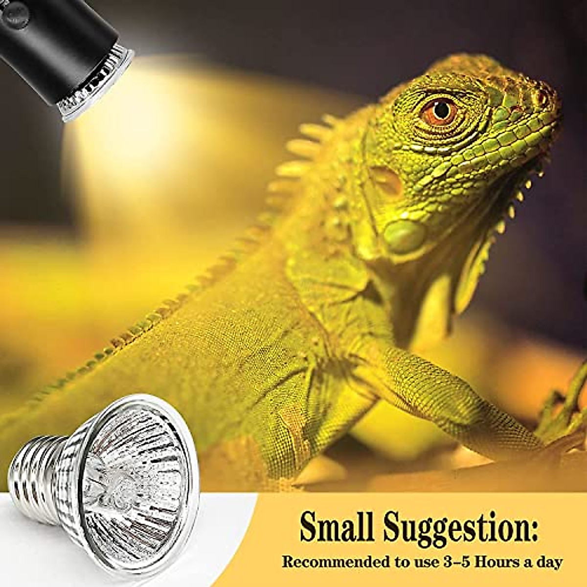 IOOTSEA Turtle Heat Lamp Tortoise Bulb: 50W UVB Reptile Heating Bulb for Lizards, Snakes, Aquarium Aquatic Reptile Amphibian - Terrarium Heat Lamps and Habitat Lighting for Pet Supplies