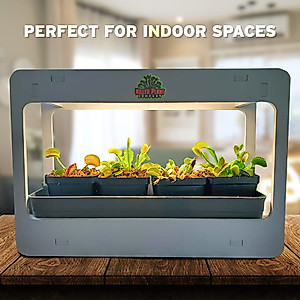 Venus Fly Trap Terrarium - for Indoor Growing - Perfect for Growing Carnivorous Plants Indoors - 16 Hour Automatic Timer -