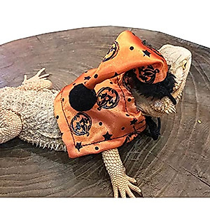 Lizard Clothes for Bearded Dragon - Halloween Hat and Cloak Set Adjustable Halloween Costume Xmas Gifts Pets Apparel for Bearded Dragon Rabbit Guinea Pig Ferret Hedgehog (Halloween Hat & Cloak Set)