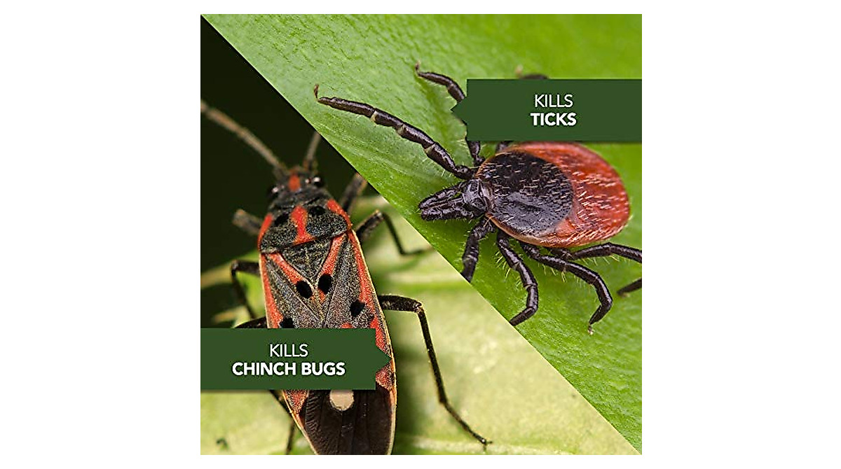 BioAdvanced Insect Killer for Soil & Turf | 20 lb Granules