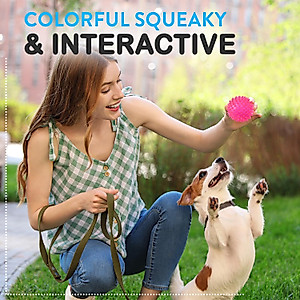 Pacific Pups Products Balls for Dogs - 6 Balls Dog Ball Pack - Small Dog Balls & Dog Balls for Medium Dogs - Dog Tennis Balls, Squeaky Balls for Dogs & Dog Treat Toys