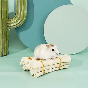 Sweet Bamboo Chew Sticks for Rabbits, Bunny Molar Treats Snack for Small Animals Hamster Chinchilla Guinea Pigs Rabbit Squirrel Natural Teeth Grinding Toys (500g/1.1lb)