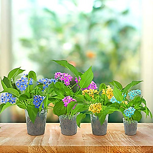 ELCOHO 36 Pack 6/5/4/3 Inch Plant Nursery Pots Transparent Plastic Gardening Pot Soft Seed Starting Pot Flower Plant Container with Drainage Hole for Seedling Succulent Vegetable Flowers