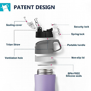 FJ bottle Sports Water Bottles with Straw, 20 oz Double Wall Vacuum Insulated Stainless Steel Bottle Keeps Hot and Cold, With Cleaning Brush, Perfect Gifts for Girl and Lady, Purple Syringa Lilac