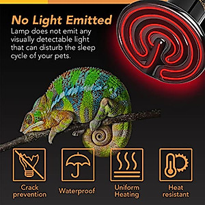 Simple Deluxe 250W Reptile Ceramic Heat Lamp Bulb Warm Emitter Brooder Coop Heater for Amphibian Pet & Incubating Chicken No Light Emitting, Snake/Lizard/Spider, 2-Pack