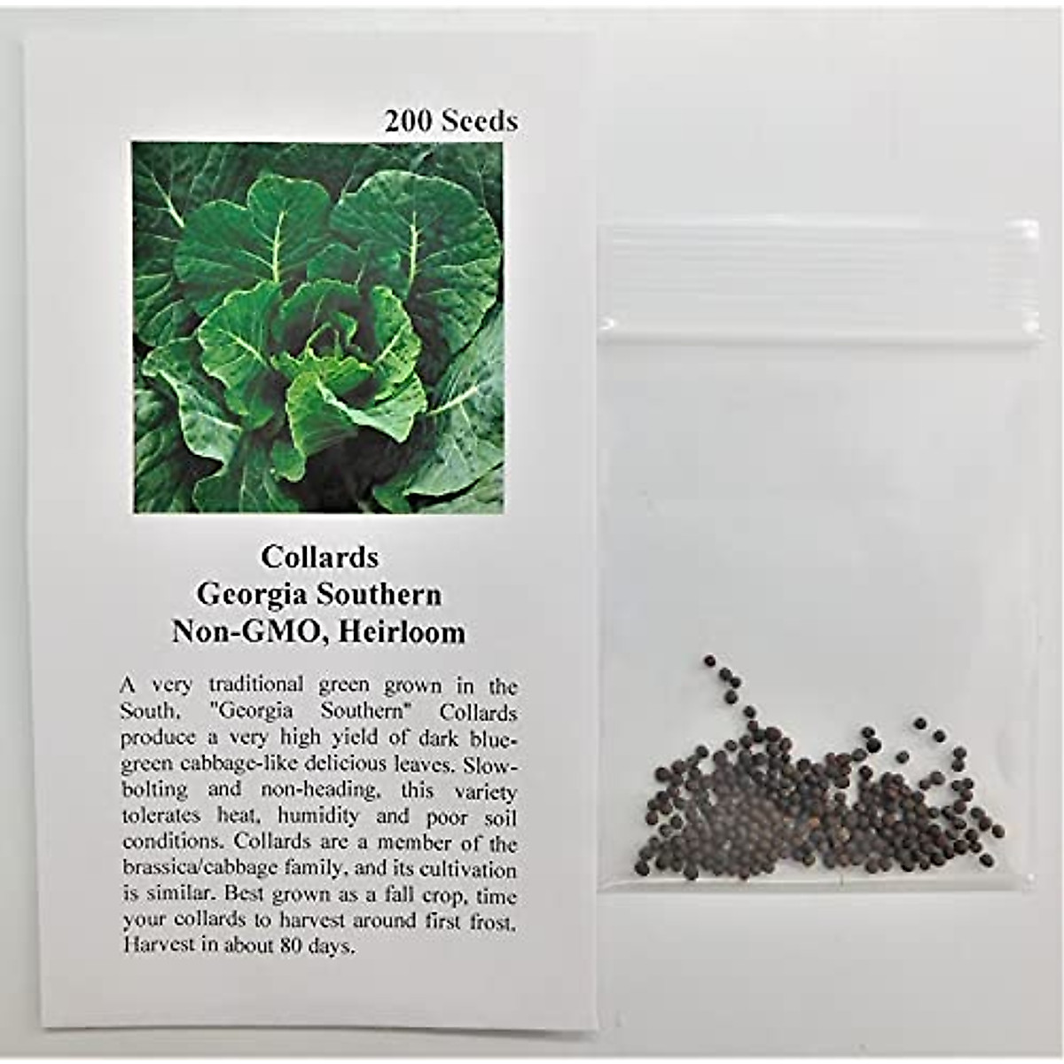 David's Garden Seeds Collards Georgia Southern FBA-1263 (Green) 200 Non-GMO, Heirloom Seeds