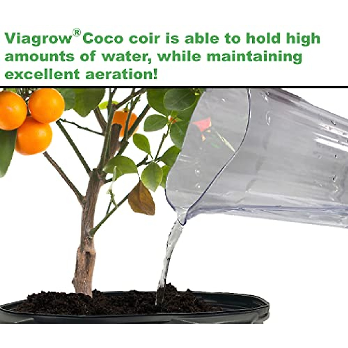 Viagrow VCCB650-3 Coco Coir, 3 Pack, Makes 2 Gallons / 7.5 Liters / 8 Quarts, 650g Brick