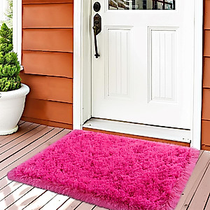Fluffy Rug for Living Room,Furry Carpet for Teen,Shaggy Rug for Nursery Room, Hot Pink Fuzzy Plush Rug for Dorm, Rectangle Shag Rug 2x3 Feet