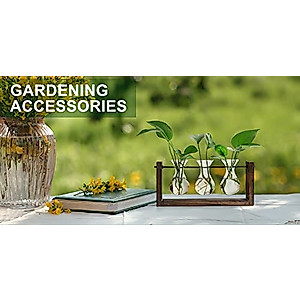 YIBOT Plants Propagation Stations Plant Terrarium with Wooden Stand Wall Hanging Glass Planter Desktop Plant Propagation Vase for Indoor Office Home Garden Decor Birthday Gifts for Women