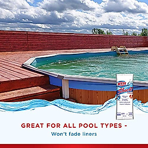 HTH 52017 Shock Treatment Swimming Pool Chlorine Cleaner, 13.3 oz, Regular