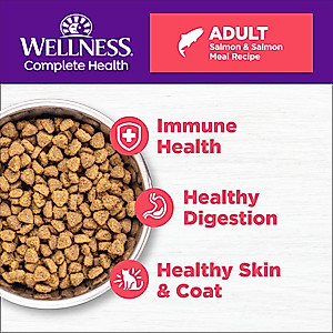 Wellness Complete Health Natural Dry Cat Food with Wholesome Grains, Made in USA with Real Meat (Adult, Salmon & Salmon Meal Recipe, 5-Pound Bag)
