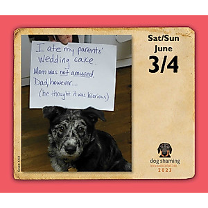 Dog Shaming 2023 Day-to-Day Calendar
