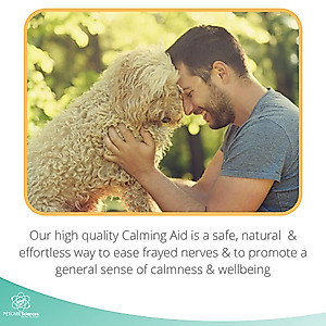 PET CARE Sciences Approx 100 x Calming Chews for Dogs or to Calm Puppy - Natural Dog Anxiety Relief - Anti Car Motion Sickness for Dog Calming Treats - Made in The USA