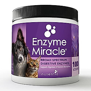Enzymes for Cats & Dogs : Enzyme Miracle® (100 Servings) : for Digestive Stress, Pancreatic Concerns, and Healthy Weight Management.