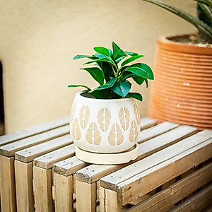 Chonsun Ceramic Planter with Saucer 6 Inch Plant Pots Indoor Oudoor Planter with Drainage Hole Flower Pots Succulent Plant Pots Mid-Century Ceramic Planter White