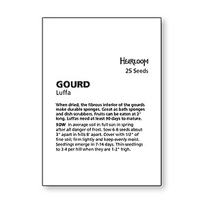 Burpee Ornamental Luffa Gourd Seeds 25 seeds