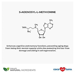 Coco and Luna Same for Dogs - S-Adenosyl-L-Methionine, Liver Supplements for Dogs - Brain Supplement for Dogs, Promotes Cognitive Support, Dog Liver Support Supplement