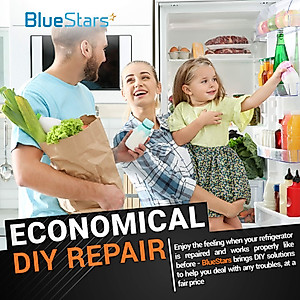 BlueStars 2-Pack 2206670B Dispenser Grille - Easy to Install, Compatible with Whirlpool and Kenmore Refrigerators - Replaces WP2206670B, W10171993, W10189532, WP2206670BVP