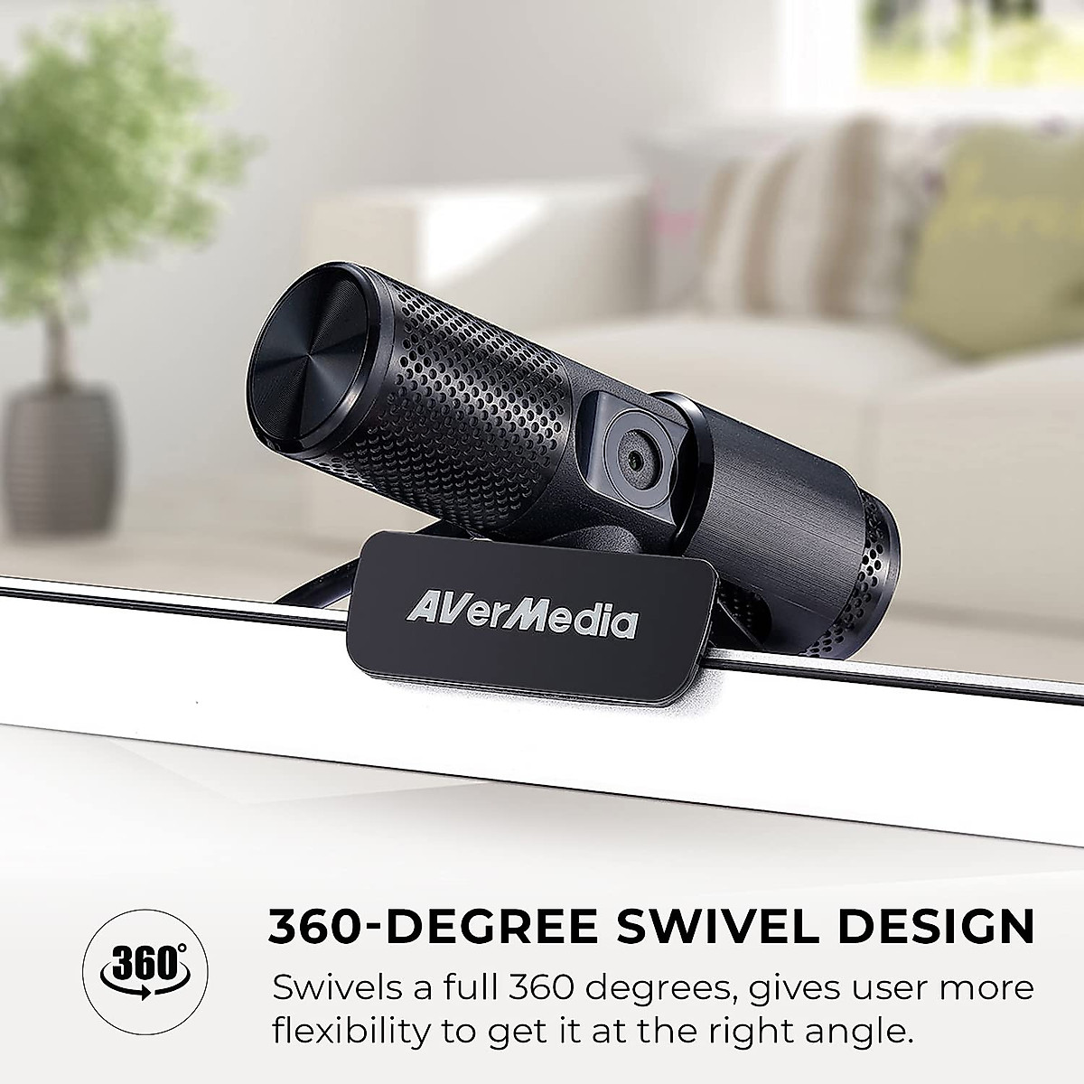 AVerMedia Live Streamer Cam 313 - Full HD 1080P Webcam with Privacy Shutter, Dual Microphone, 360 Degree Swivel for Video Conference - NDAA Compliant (PW313)