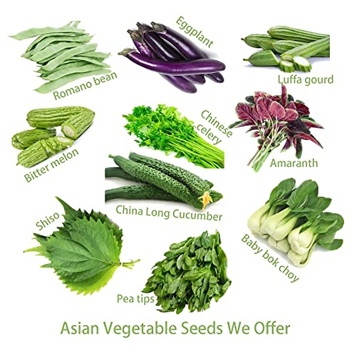 Sugar Snap Pea Seeds for Planting Vegetables and Fruits.Non GMO Heirloom Seeds Vegetable Seeds for Planting Home Garden or Hydroponic Pods-15g, Approx. 65 Garden Seeds Sugar Snap Pea Plant Seeds. USA